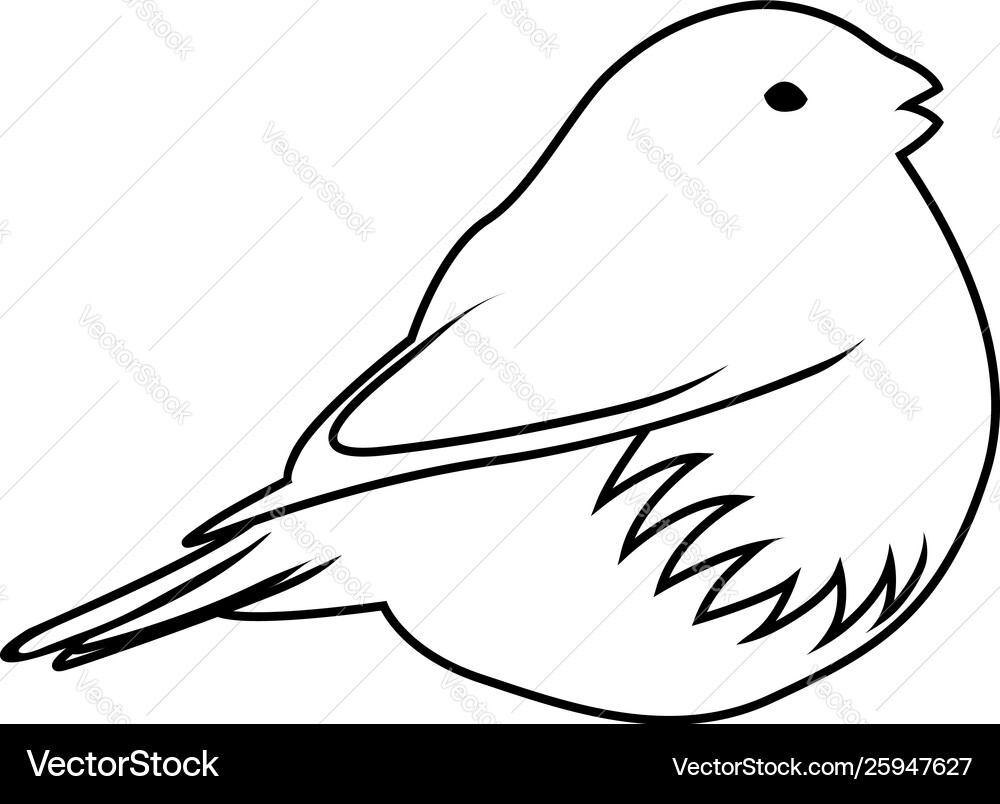 Sketch bird Royalty Free Vector Image - VectorStock