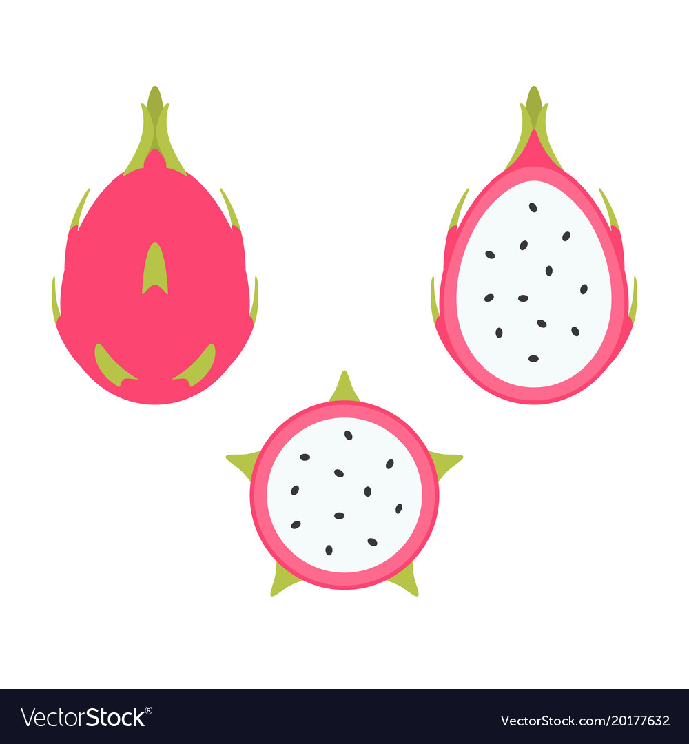 Dragon fruit set Royalty Free Vector Image - VectorStock