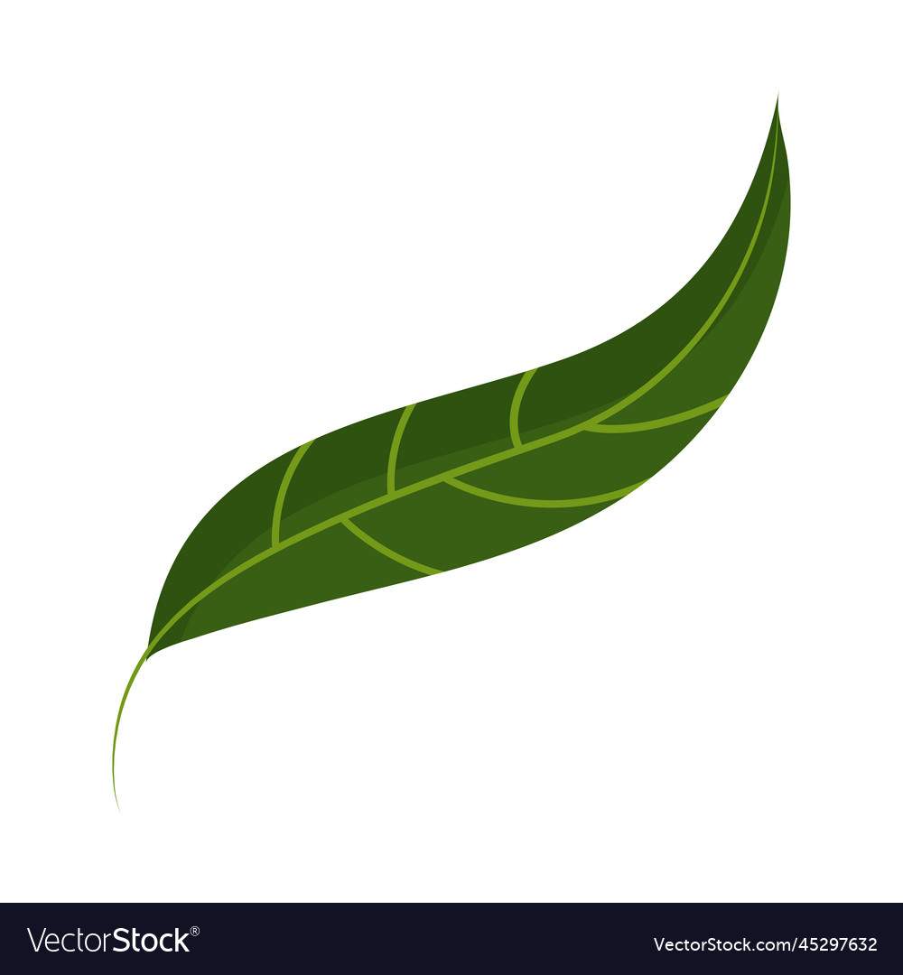 Leaf isolated icon Royalty Free Vector Image - VectorStock