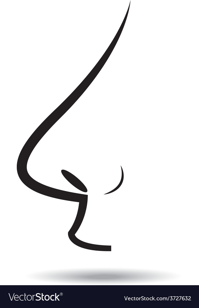 Nose Royalty Free Vector Image - VectorStock