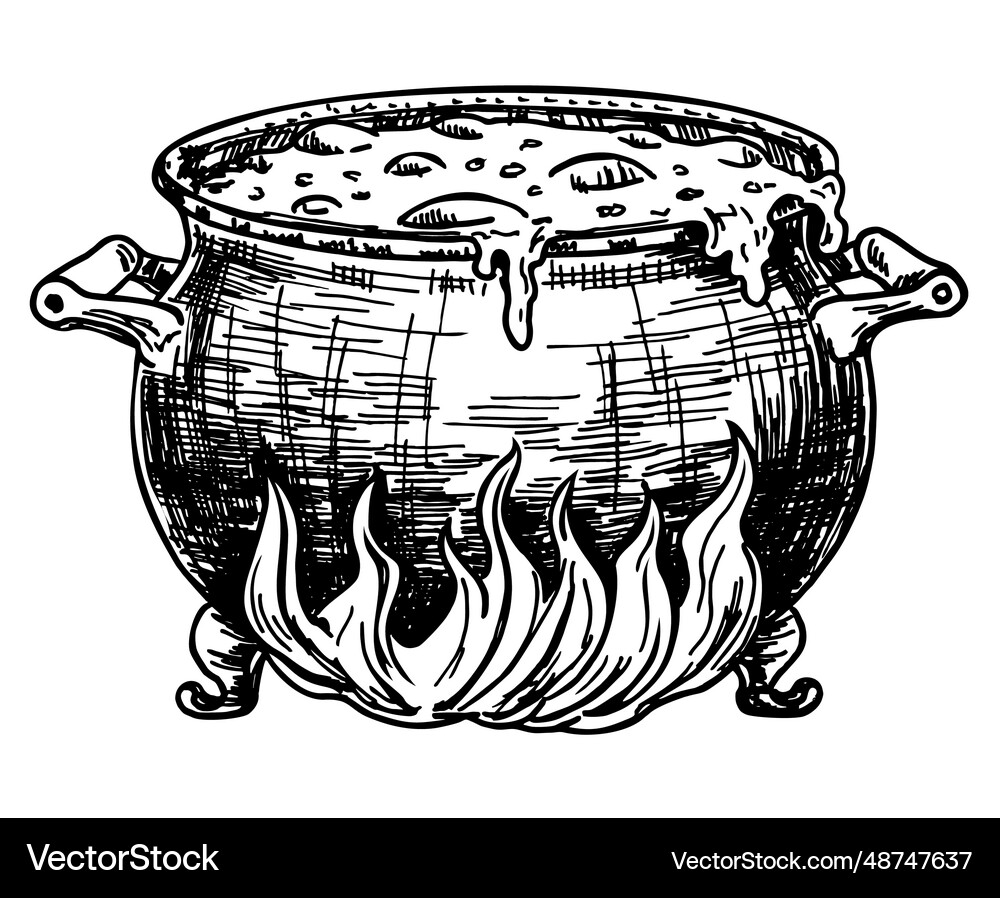 Boiling witch s cauldron sketch witchcraft item Vector Image