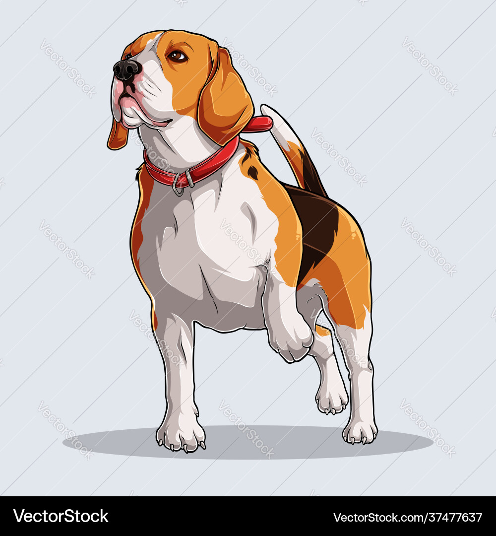 Cute beagle dog with colorful shadows Royalty Free Vector