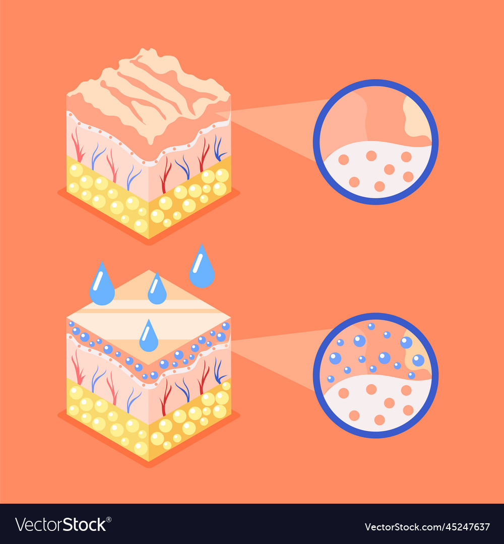 Skin structure cubes composition Royalty Free Vector Image