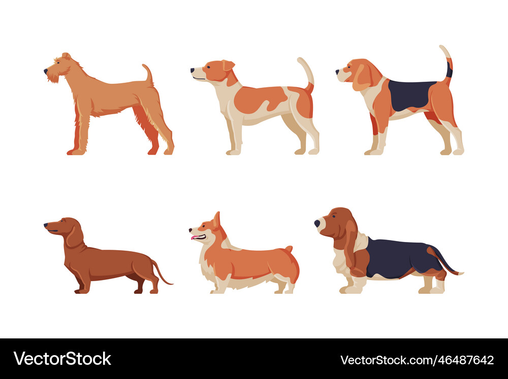 Dogs of different breeds set side view Royalty Free Vector