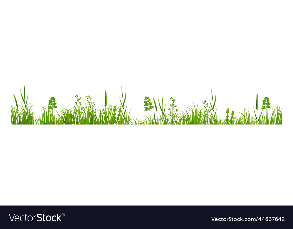 Horizontal grass border green meadow plants Vector Image Horizontal grass border green meadow plants Vector Image