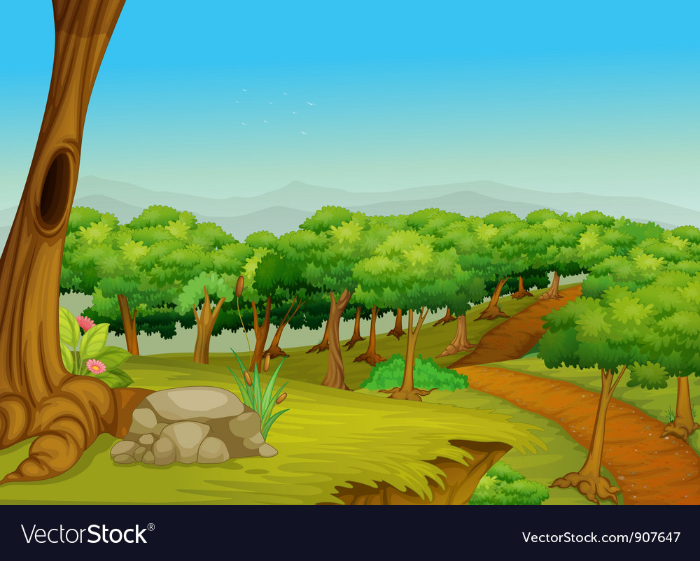Lovely forest path Royalty Free Vector Image - VectorStock