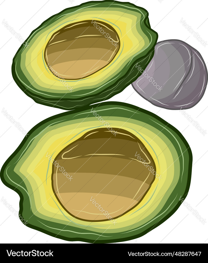 Ripe avocados are cut in half Royalty Free Vector Image