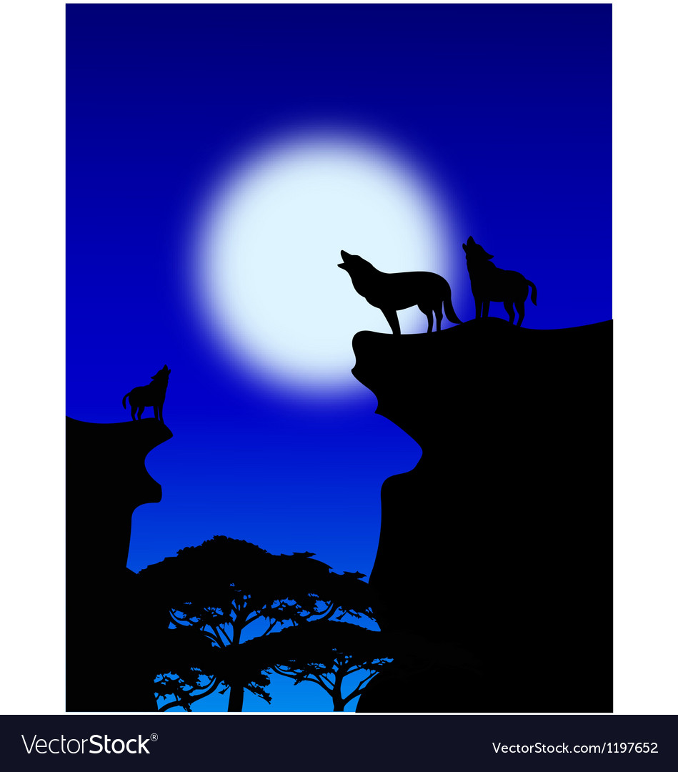 Wolf howling Royalty Free Vector Image - VectorStock
