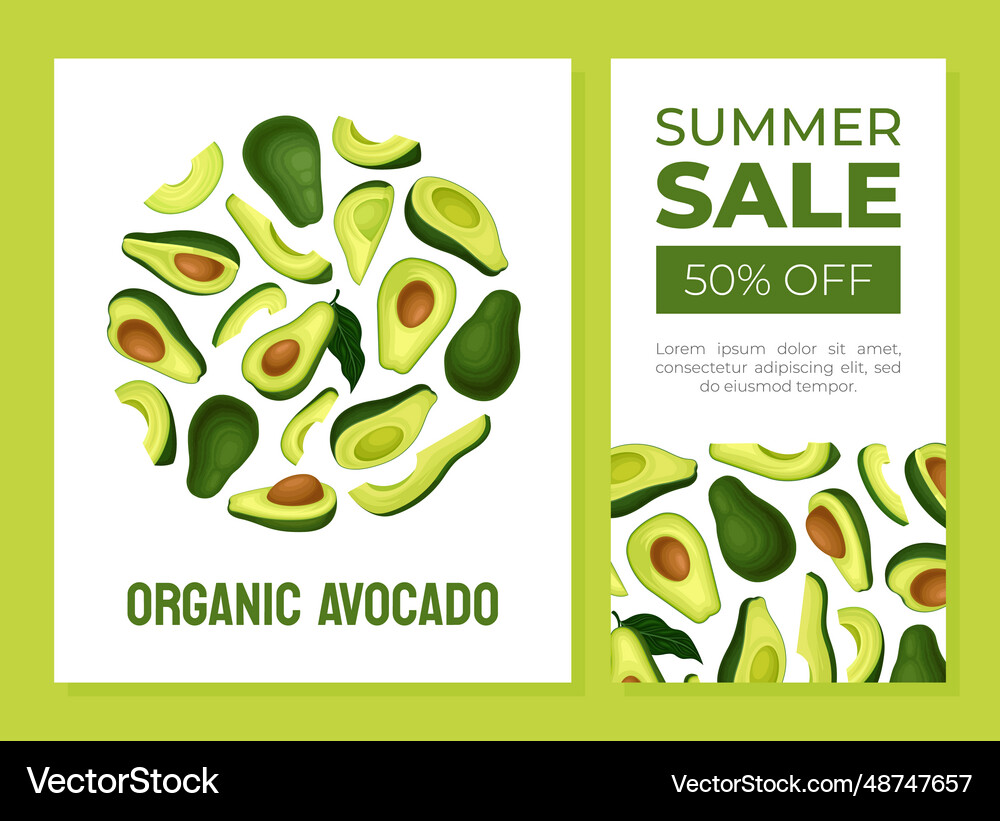 Avocado banner and poster design with green fruit Vector Image