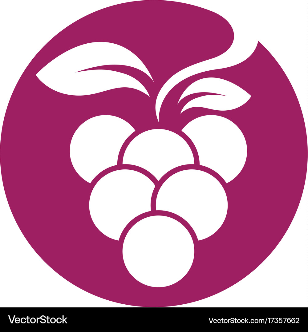 Bunch wine grapes with leaf icon for food apps Vector Image