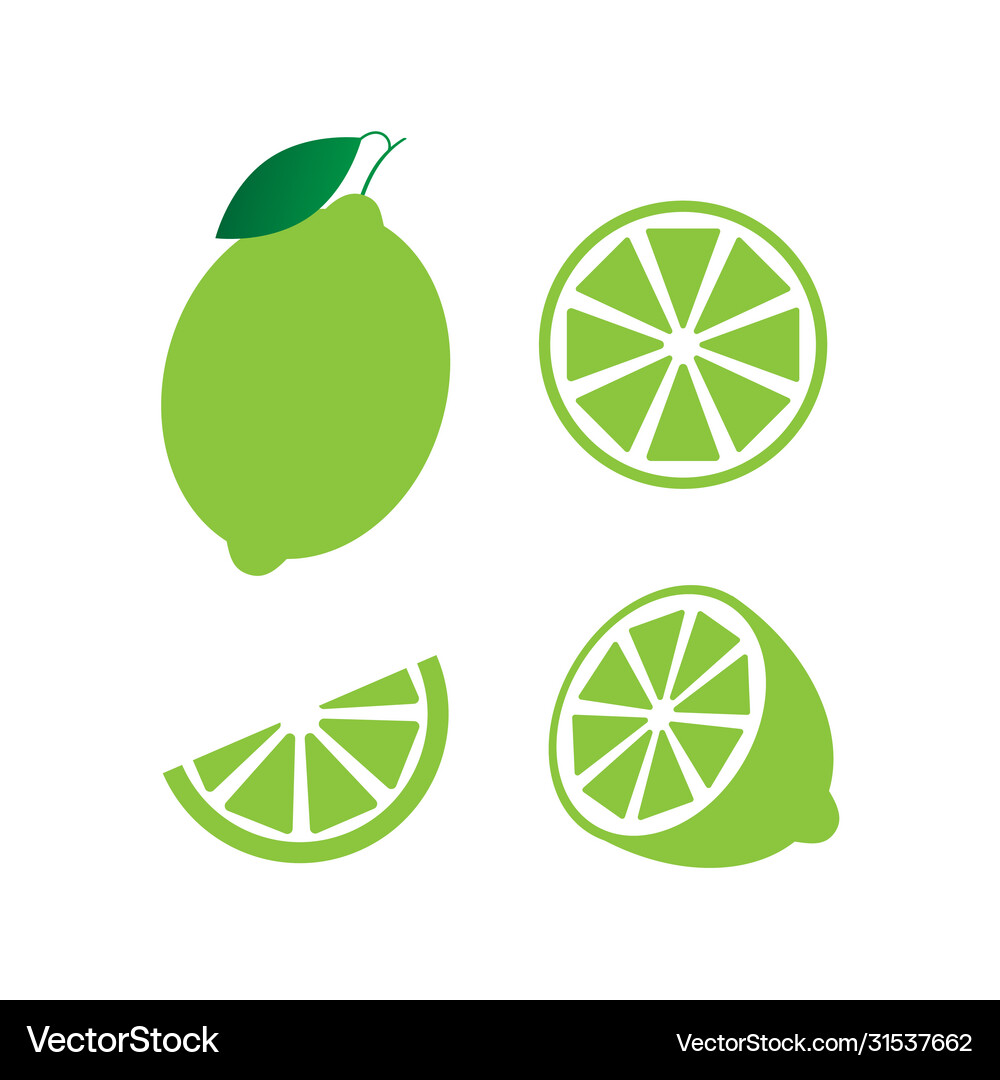 Lime with green leaves slice citrus isolated Vector Image
