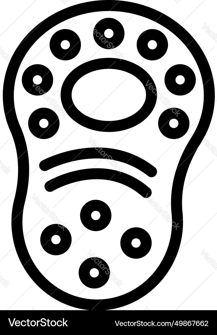 Wear ankle icon outline support foot Royalty Free Vector