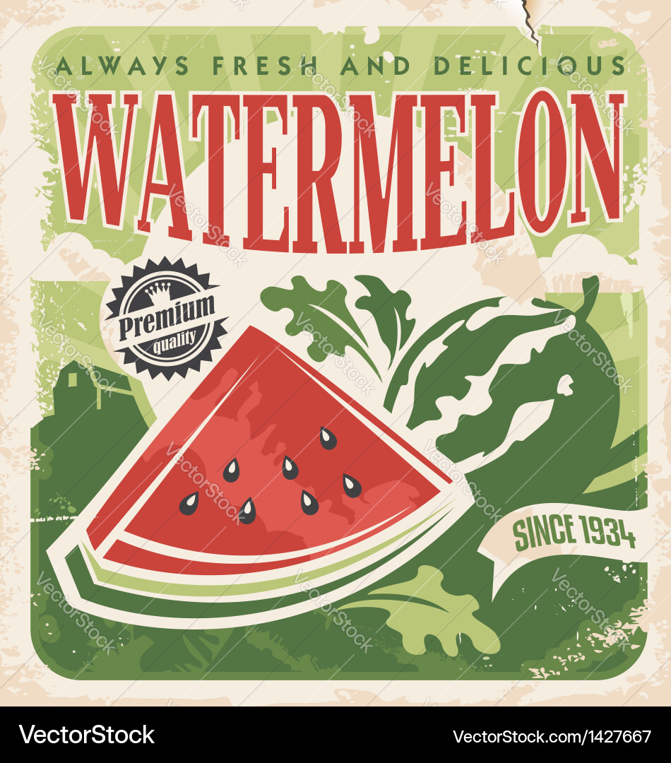 Vintage poster template for watermelon farm Vector Image