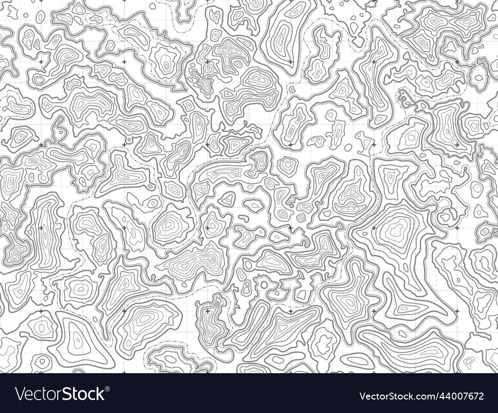 Topographic map background topo lines pattern Vector Image