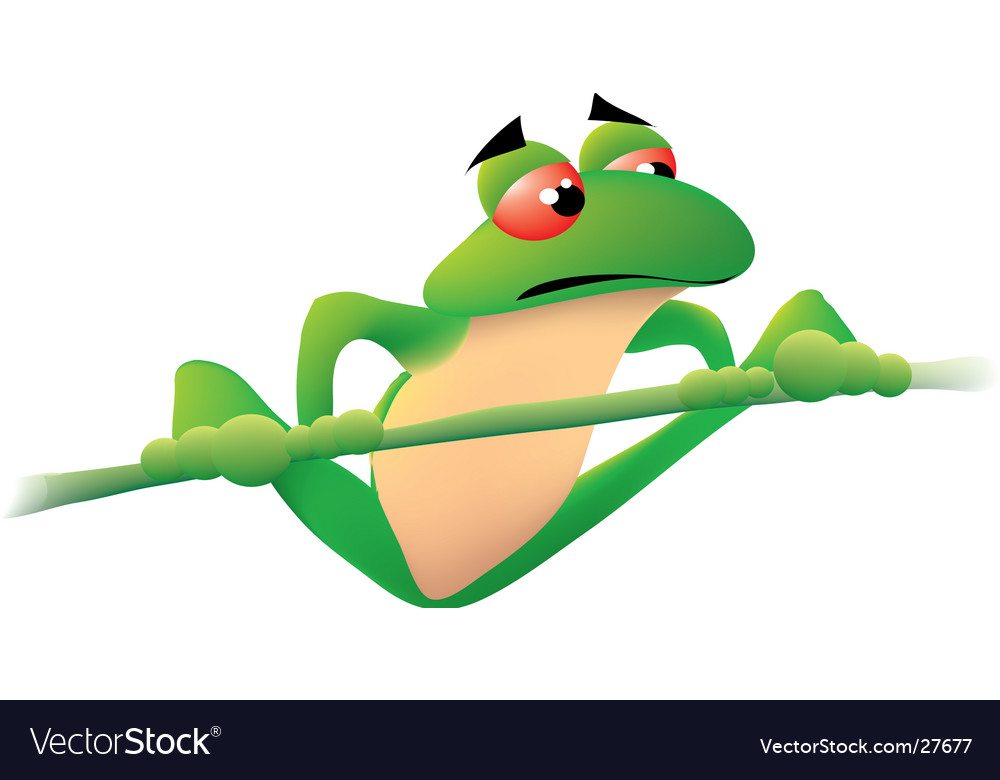 Tree frog Royalty Free Vector Image - VectorStock