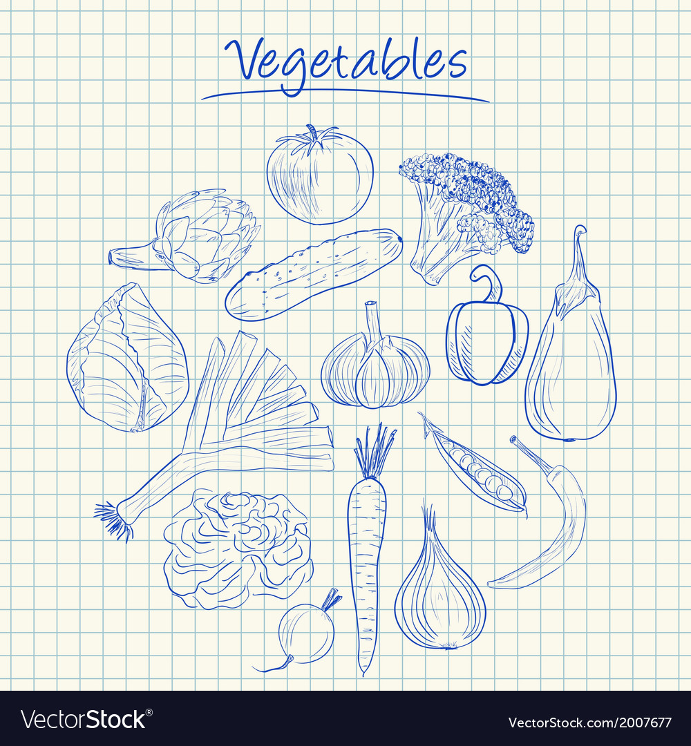 Vegetables doodles squared paper Royalty Free Vector Image