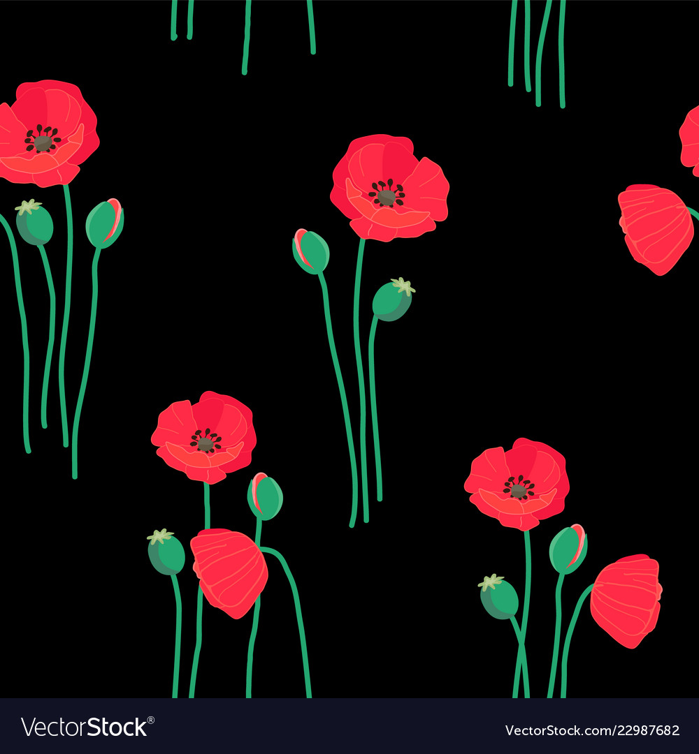 Floral seamless pattern with red poppy flowers Vector Image