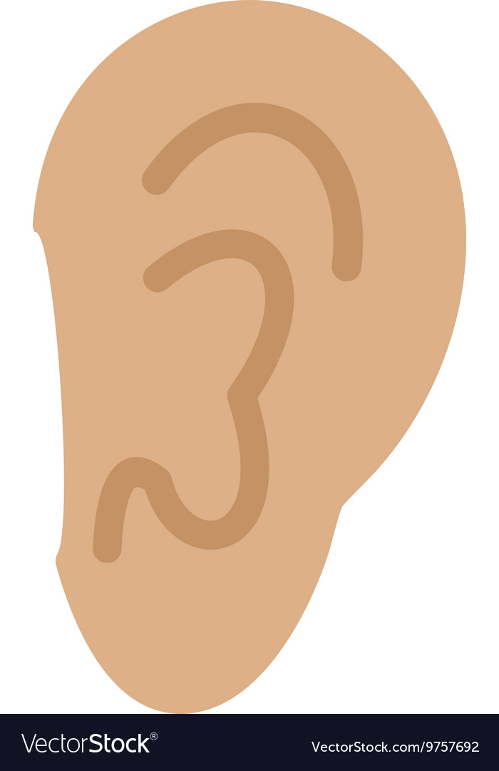 Ear Royalty Free Vector Image - VectorStock
