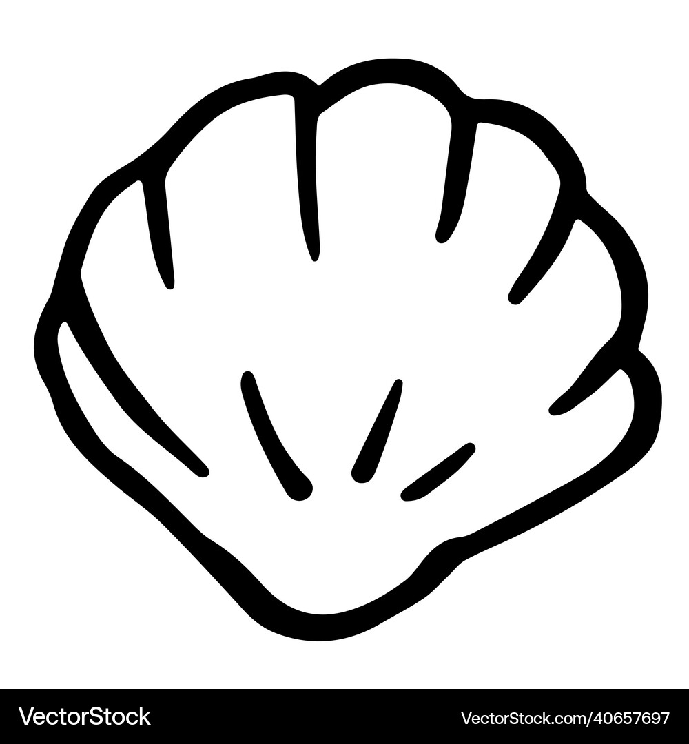 Hand drawn sea scallop in shell Royalty Free Vector Image