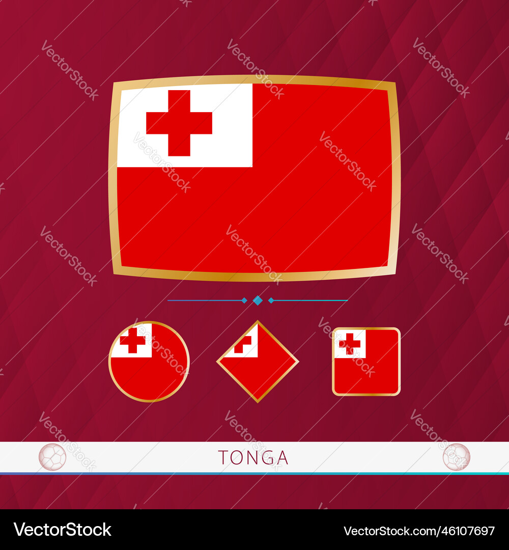 Set of tonga flags with gold frame for use Vector Image