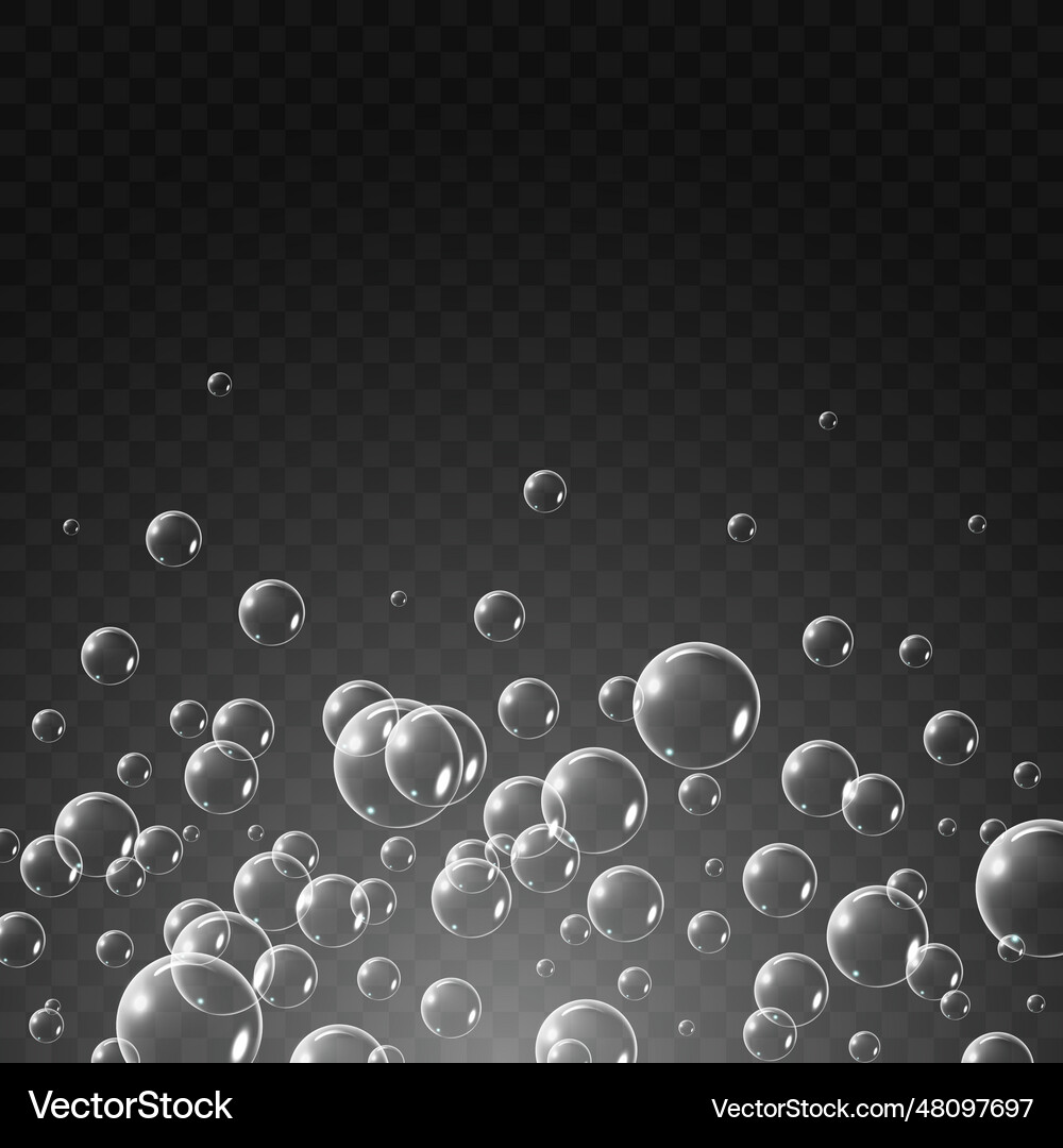 Soap bubbles background set of clean water Vector Image