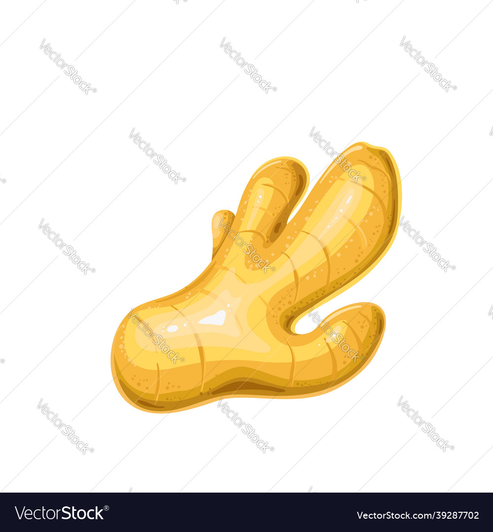 Ginger Royalty Free Vector Image - VectorStock