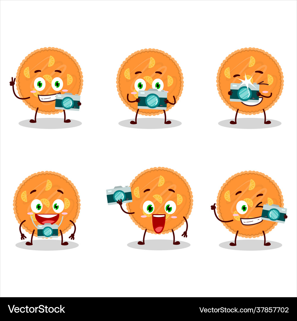 Photographer profession emoticon with orange pie Vector Image