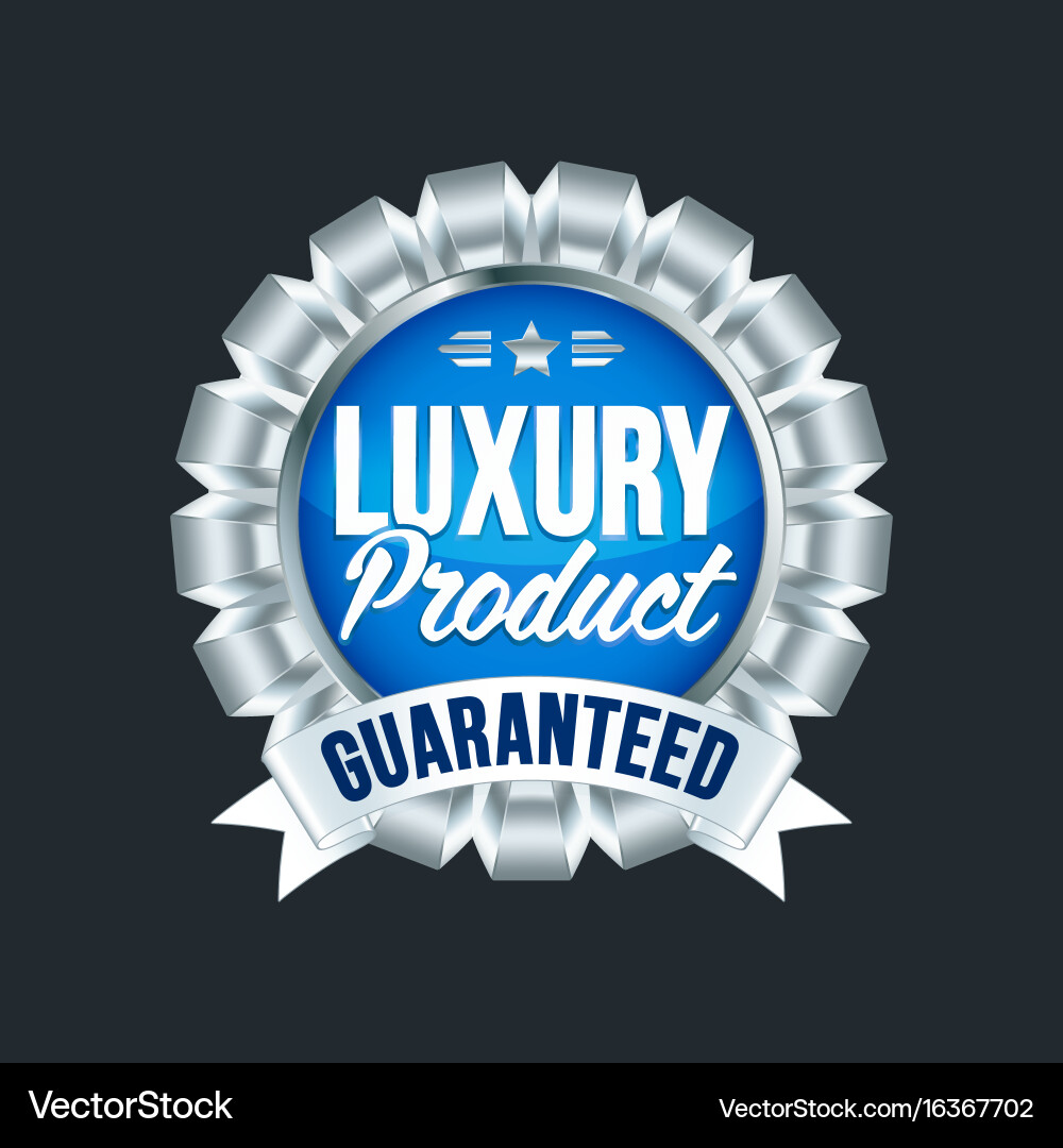 Set of excellent quality blue badges with silver Vector Image