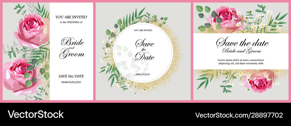 Set romantic invitation cards with rose flowers Vector Image