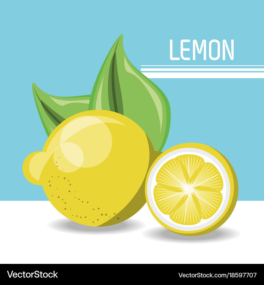 Citric fruits design Royalty Free Vector Image