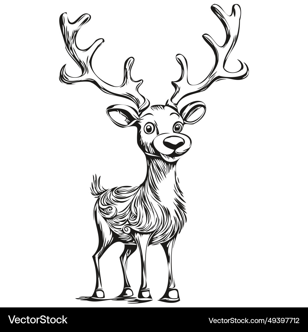 Christmas reindeer deer pencil drawing hand drawn Vector Image