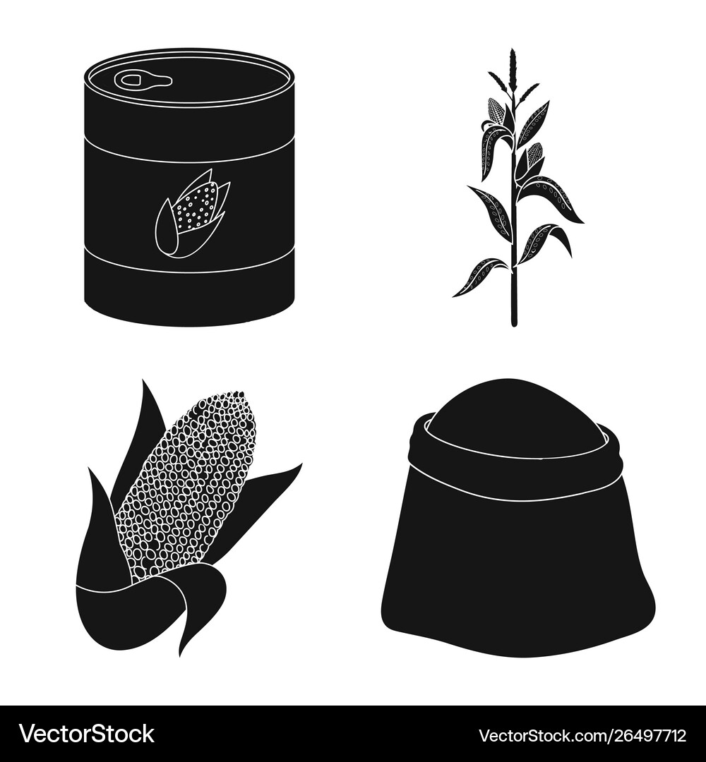 Design organic and vegetarian icon set Royalty Free Vector