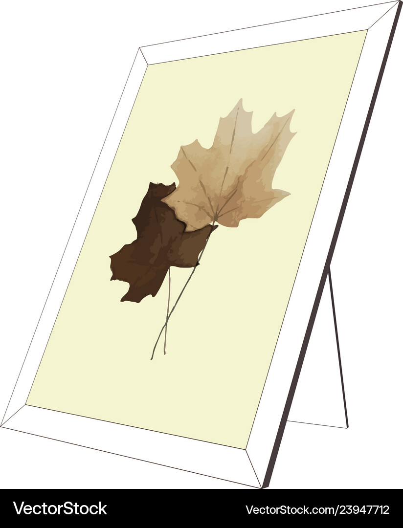 Picture maple leaves in frame Royalty Free Vector Image
