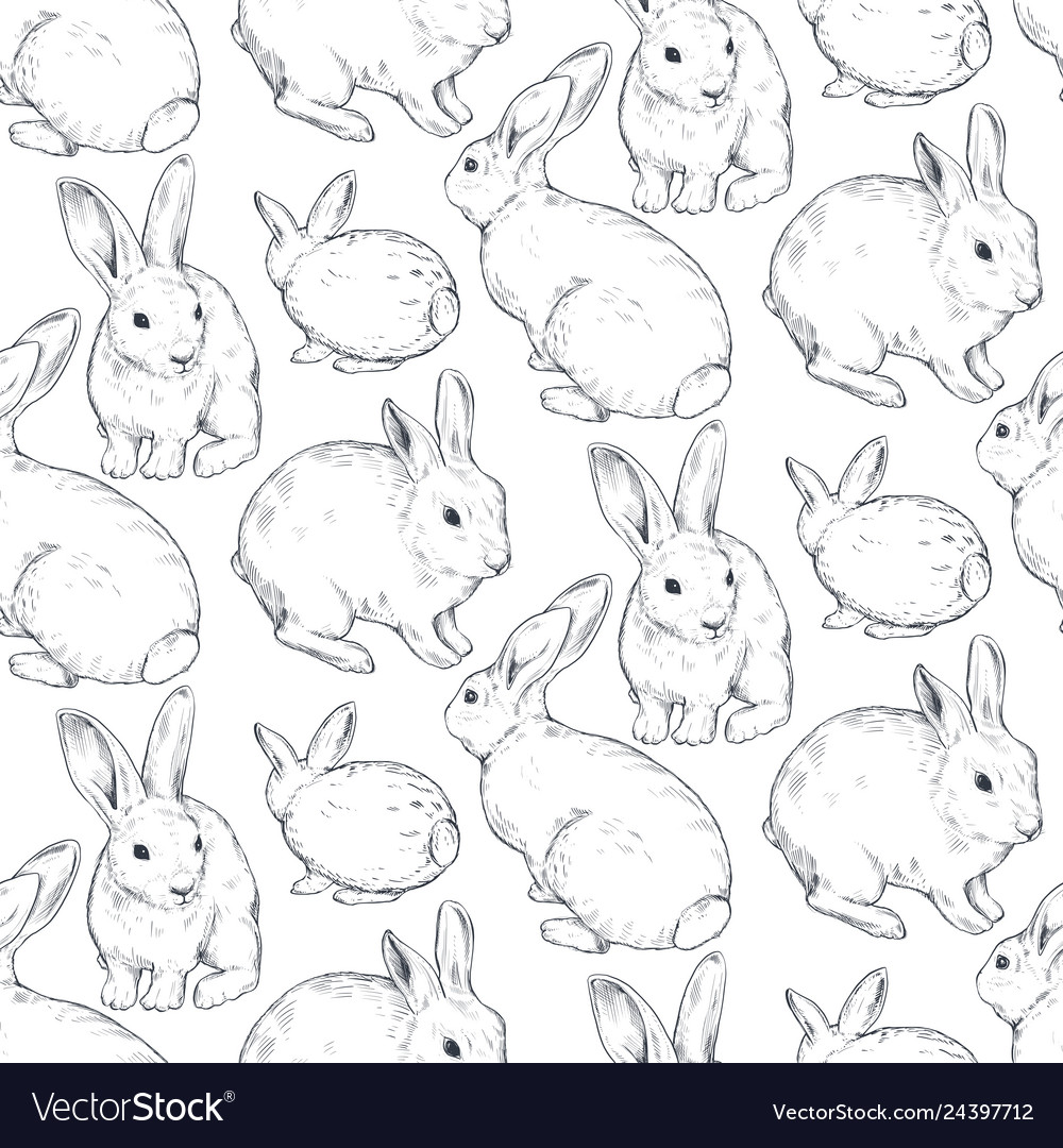 Seamless pattern with hand drawn rabbits Vector Image
