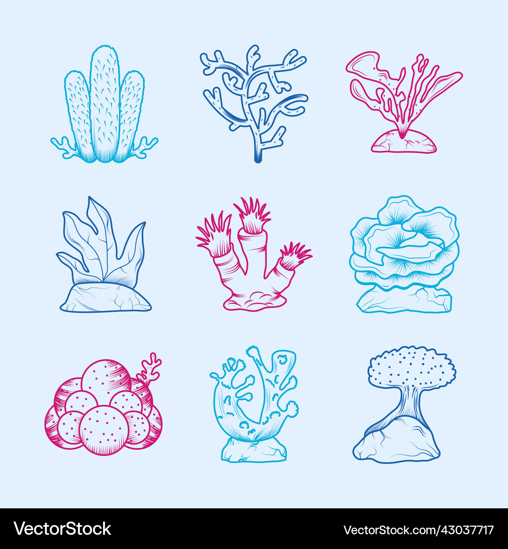 Coral sea life Royalty Free Vector Image - VectorStock