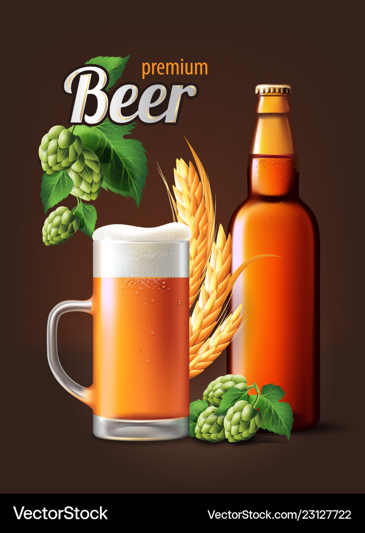 Beer poster template for classic white beer ad Vector Image