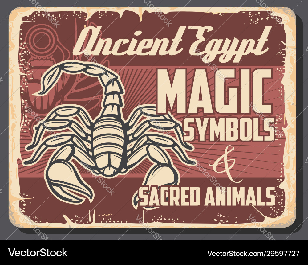 Ancient egyptian scorpion and scarab beetle Vector Image