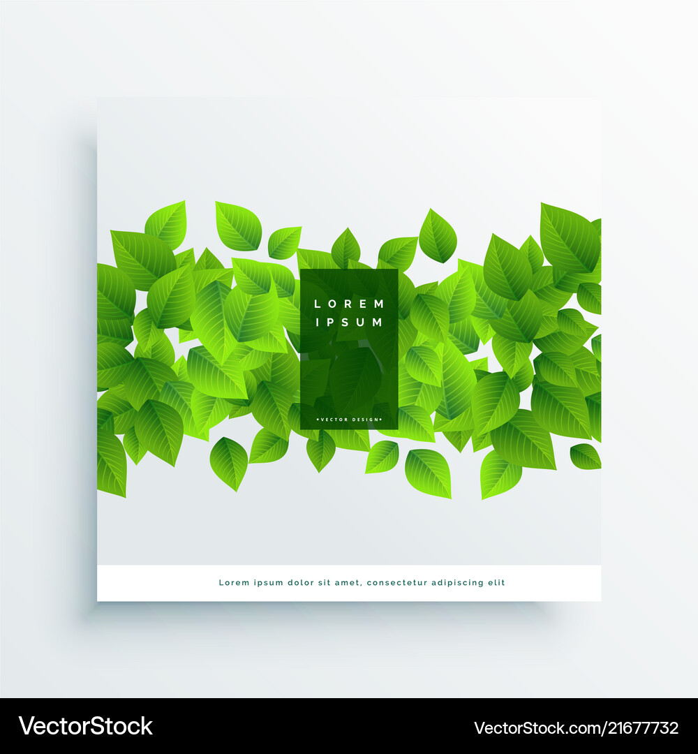 Green leaves card cover background Royalty Free Vector Image