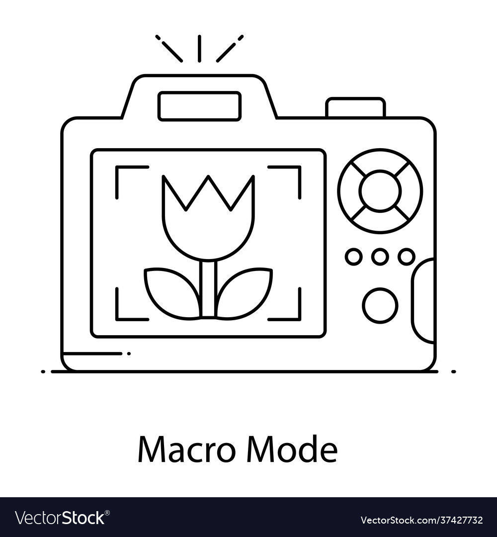 Macro mode Royalty Free Vector Image - VectorStock