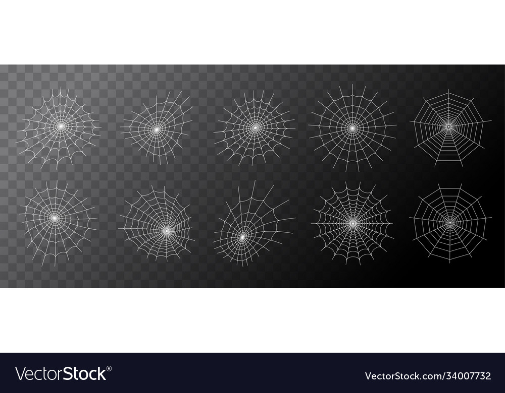 Spider web concept Royalty Free Vector Image - VectorStock