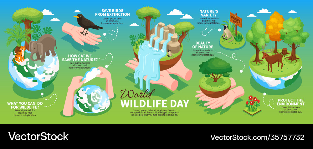 World wildlife day isometric infographics Vector Image