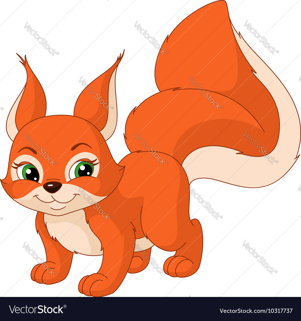 Squirrel Royalty Free Vector Image - VectorStock
