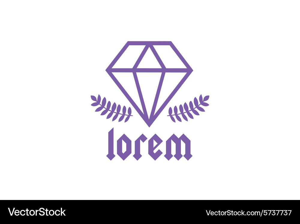 Vintage old style diamond logo icon template Vector Image