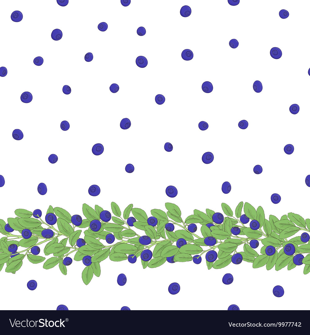 Blueberry pattern Royalty Free Vector Image - VectorStock