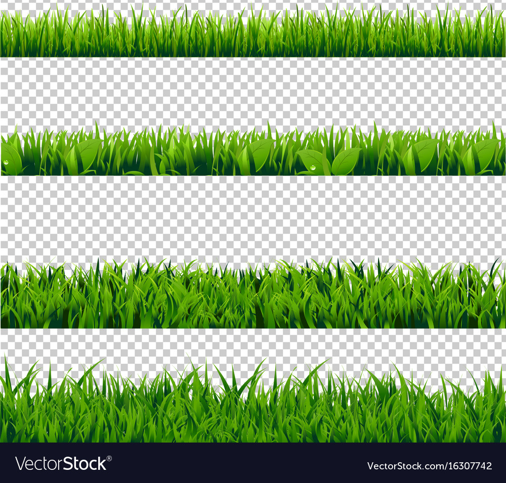 Grass border set Royalty Free Vector Image - VectorStock