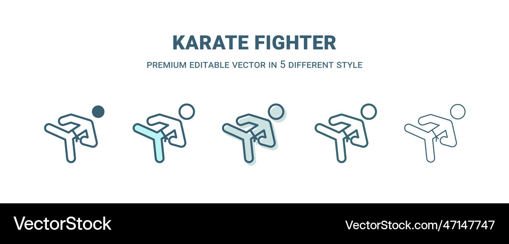 Karate fighter icon in 5 different style outline Vector Image