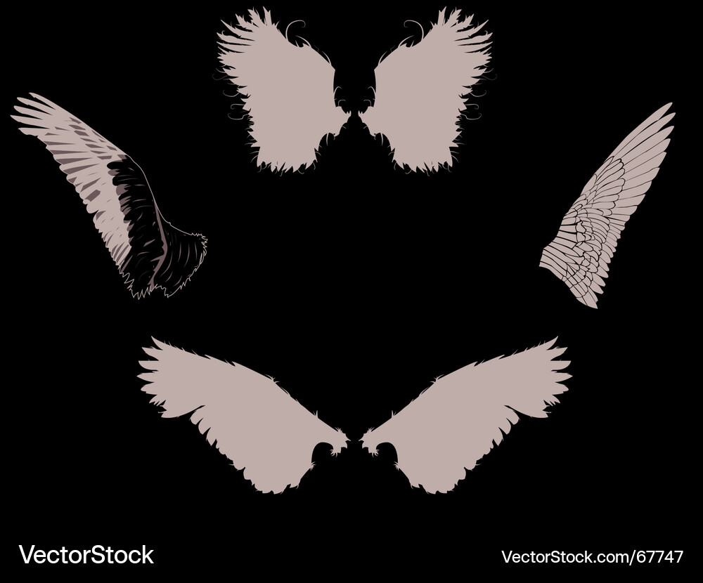 Wings Royalty Free Vector Image - VectorStock