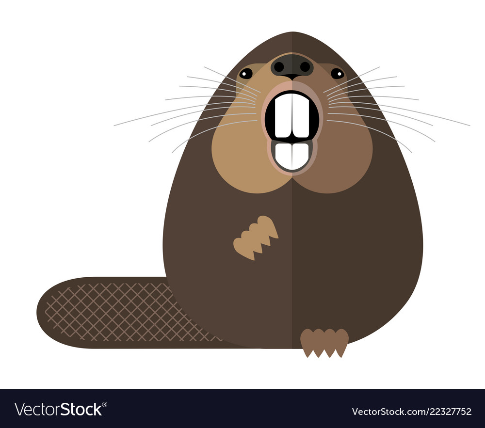 Beaver Royalty Free Vector Image - VectorStock