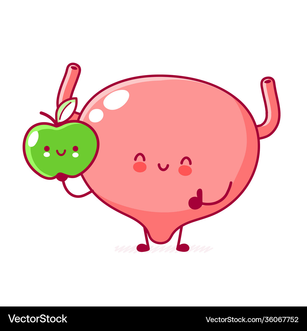 Cute happy funny human bladder organ with apple Vector Image