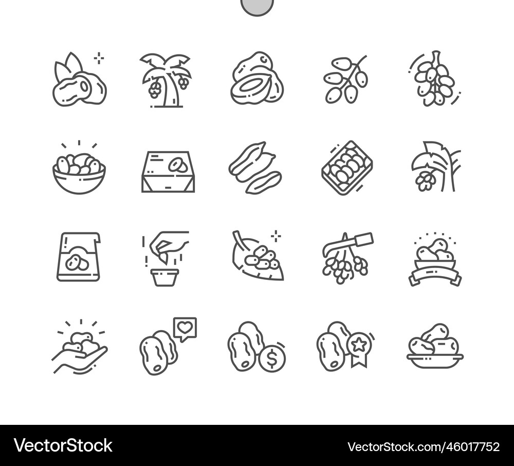 Date palm tropical exotic food Royalty Free Vector Image